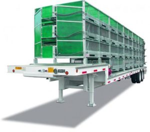 Rear Unloading Poult Transport Trailer - Bright Coop, Inc. - Chicken ...